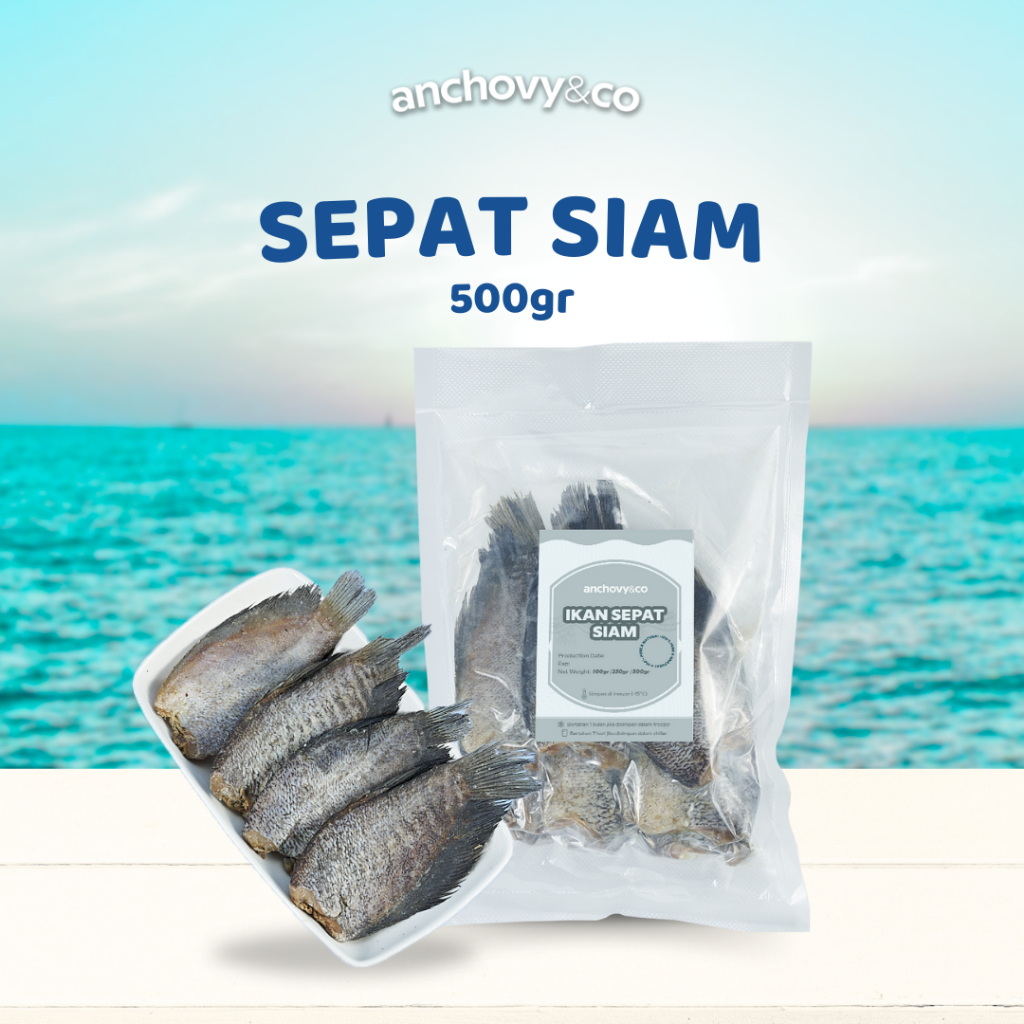Jual Ikan Asin Sepat Siam 500gr | Anchovyandco | Shopee Indonesia