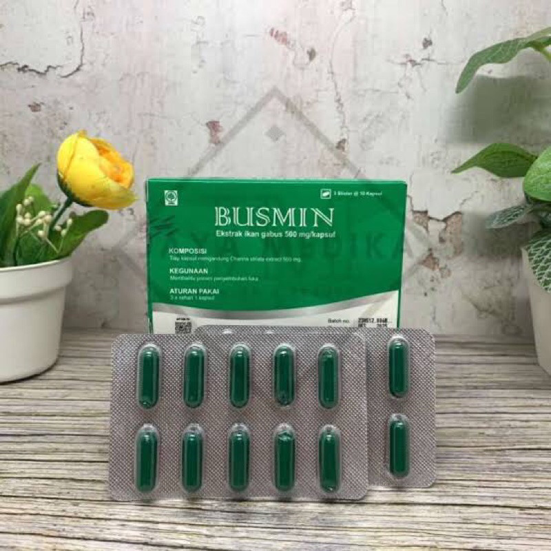 Jual BUSMIN KAPSUL 30 KAPSUL PERKOTAK | Shopee Indonesia