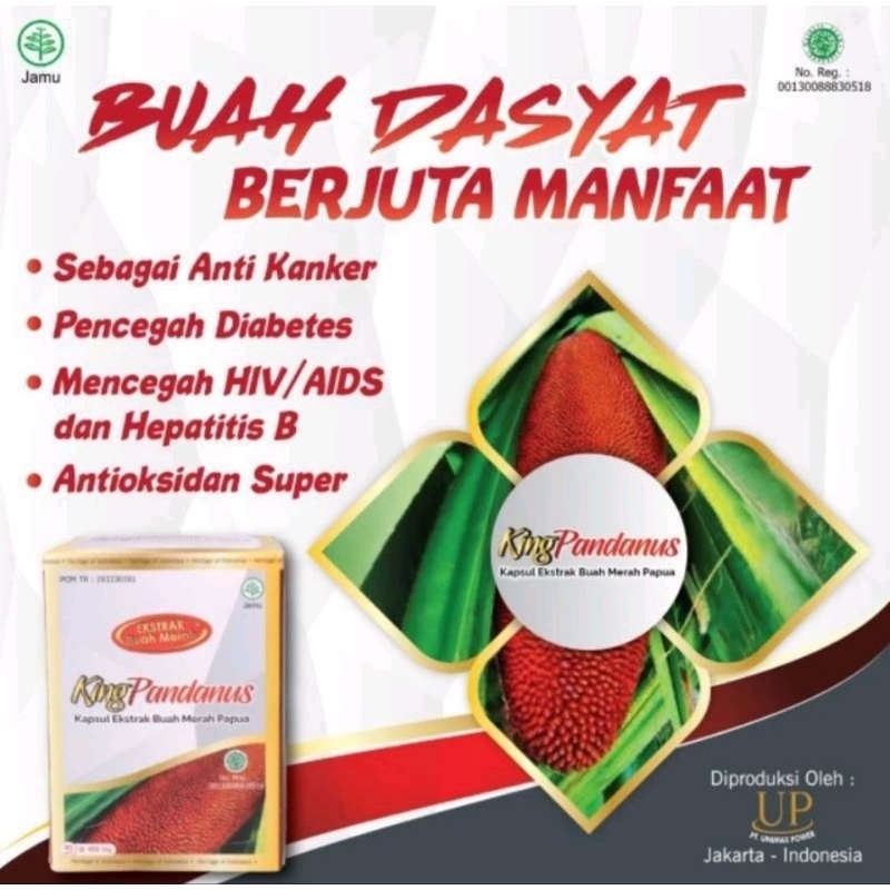 Jual King Pandanus Obat Herbal Original Buah Merah Asli Papua | Shopee ...