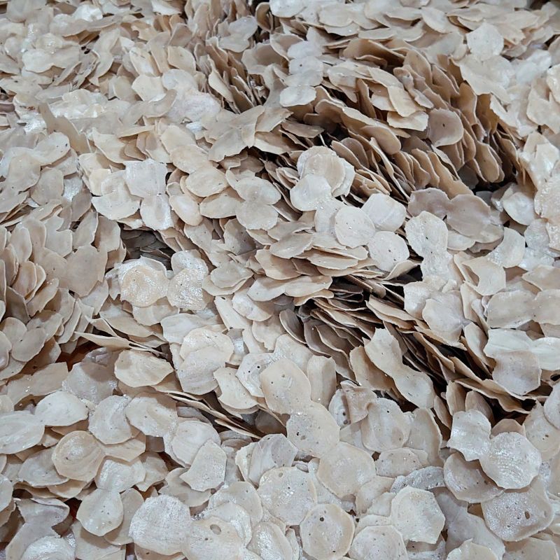 Jual Kerupuk Upil Mentah Krecek Krupuk Goreng Pasir Rasa Bawang ...