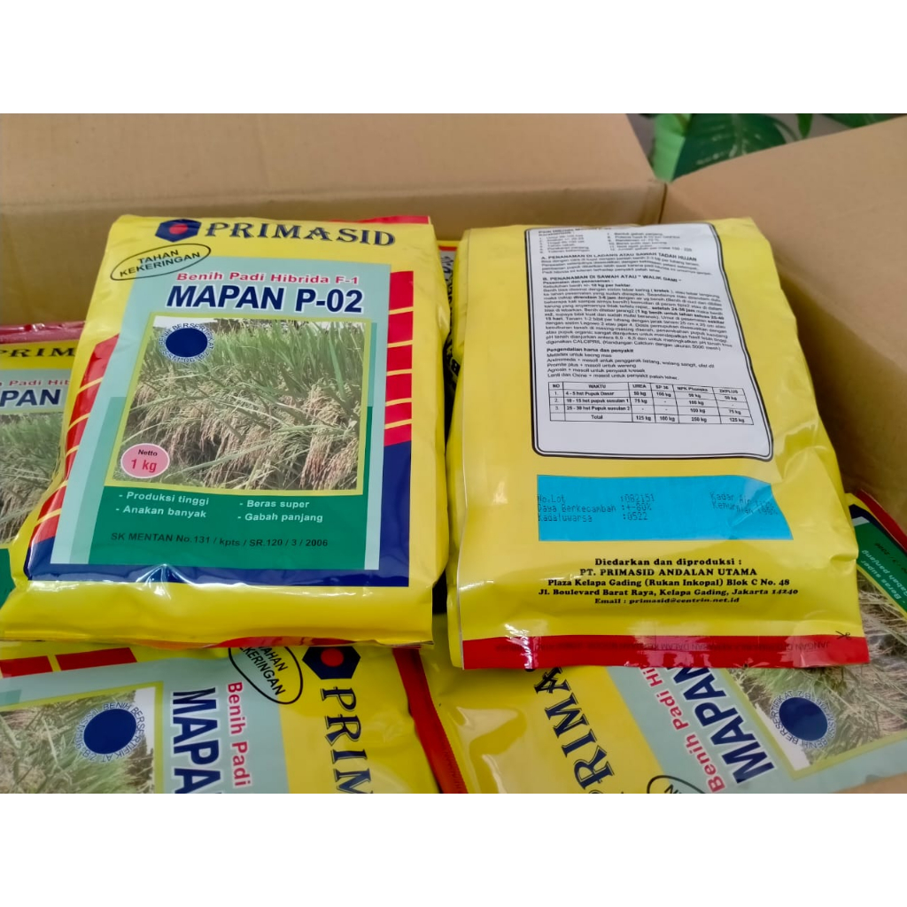 Jual BENIH PADI HIBRIDA MAPAN 05 BIBIT PADI KEMASAN 1 KG | Shopee Indonesia