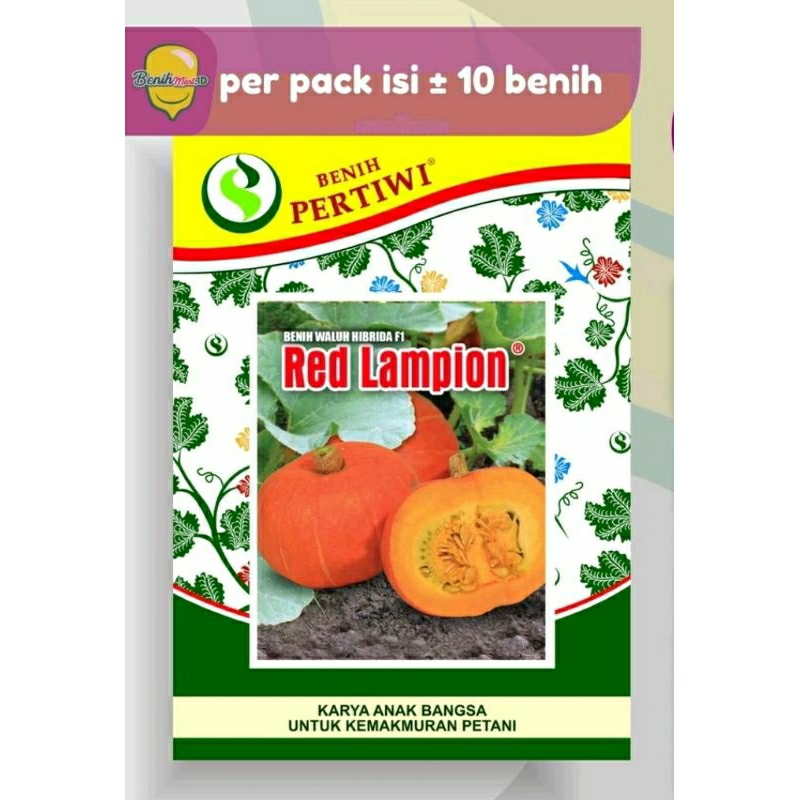 Jual Benih labu red lampion isi 10 biji bibit labu | Shopee Indonesia