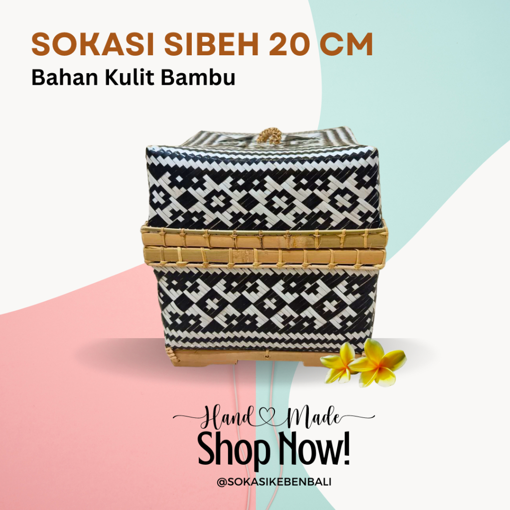 Jual Sokasi Keben sibeh 20-25 cm | Shopee Indonesia