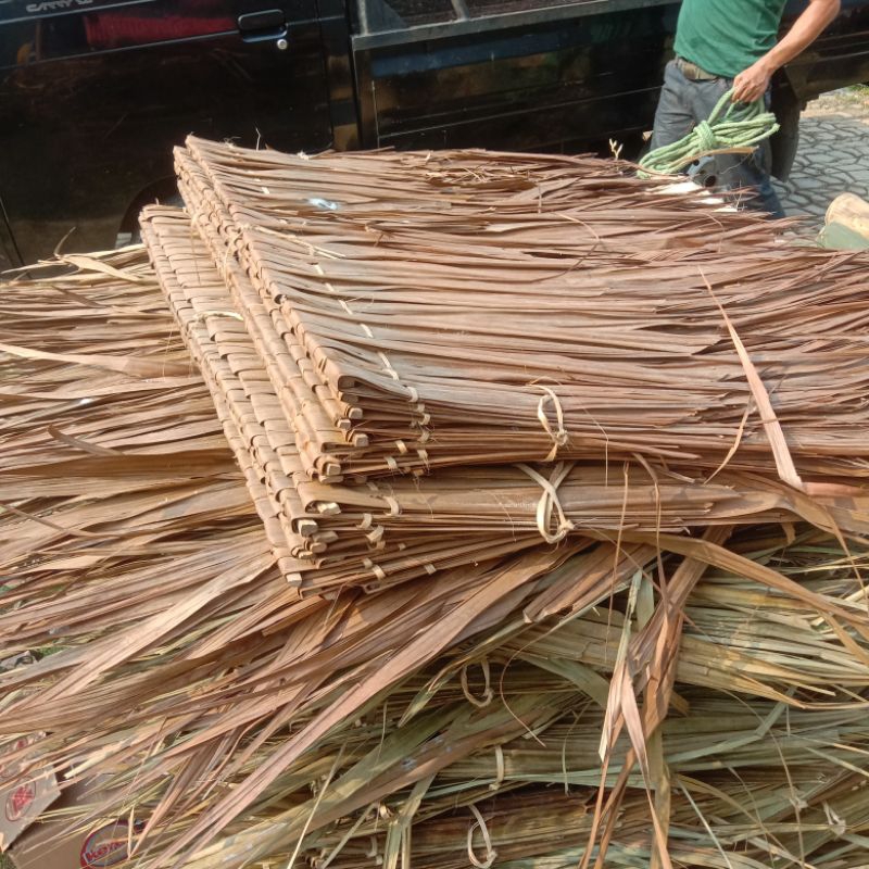 Jual atap rumbia daun kiray, atap saung gazebo | isi 10.pcs | PXL 60× ...