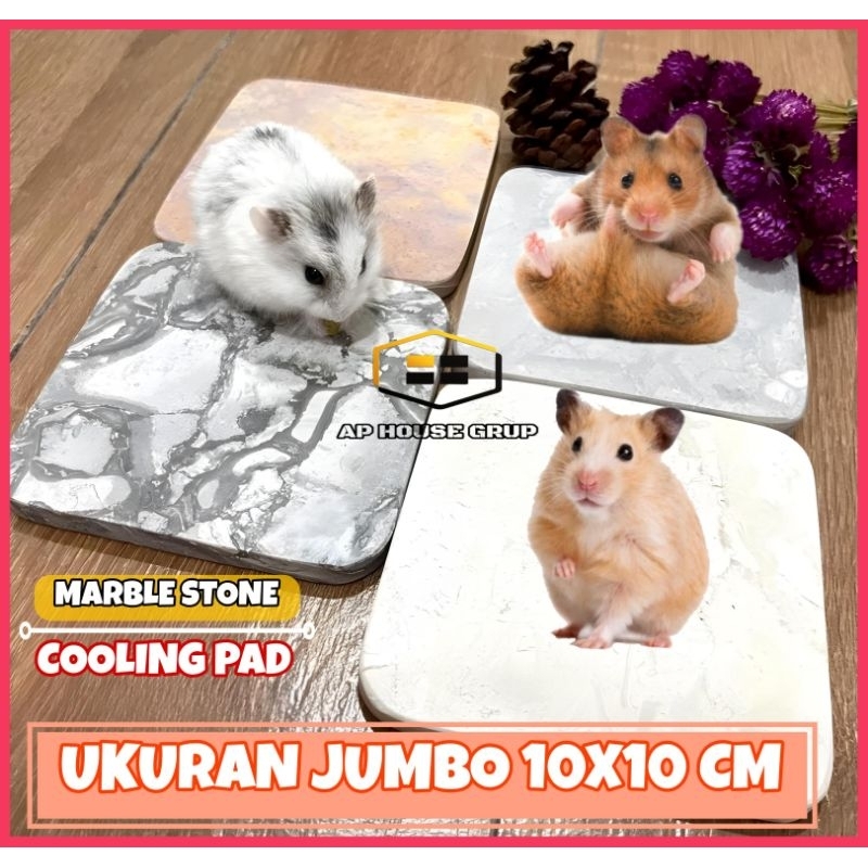 Jual MARBLE STONE 10x10 - COLLING PAD FOR HAMSTER BATU MARMER ALAS ...