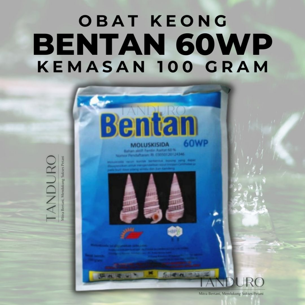 Jual Bentan 60 WP 100 Gram Obat Keong Sawah Siput Bekicot Moluskisida ...