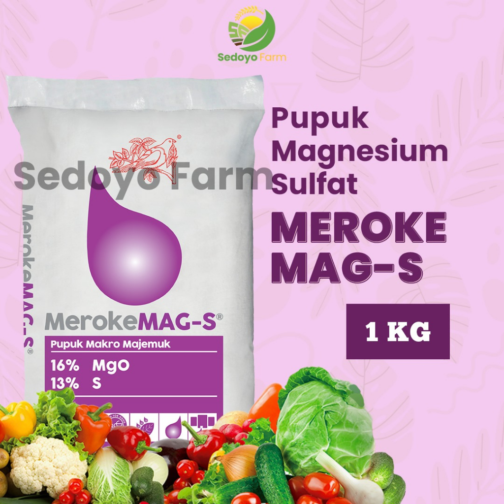 Jual Pupuk MEROKE Mag-s 1Kg Kemasan Asli Pabrik | Shopee Indonesia