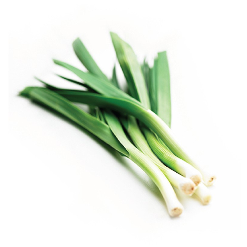 Jual Daun Prei/Leek 250 gram - 1 kg Surabaya | Shopee Indonesia