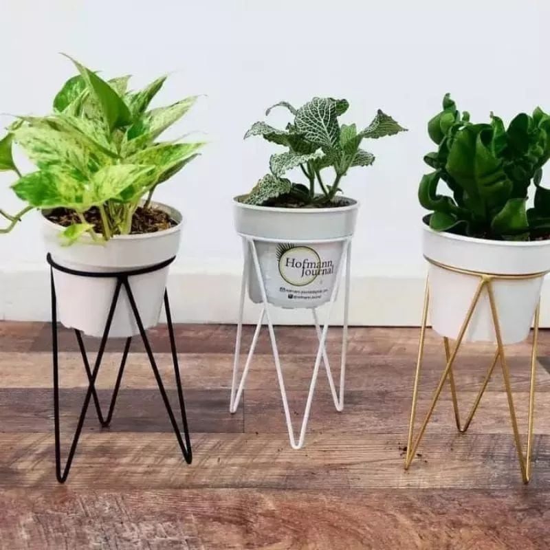 Jual STANDING POT MINIMALIS | Shopee Indonesia