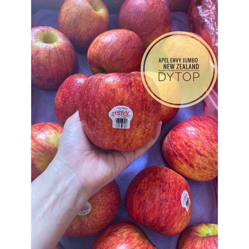 Jual Buah Apel Envy New Zealand Jumbo Fresh Manis Garing | Shopee Indonesia