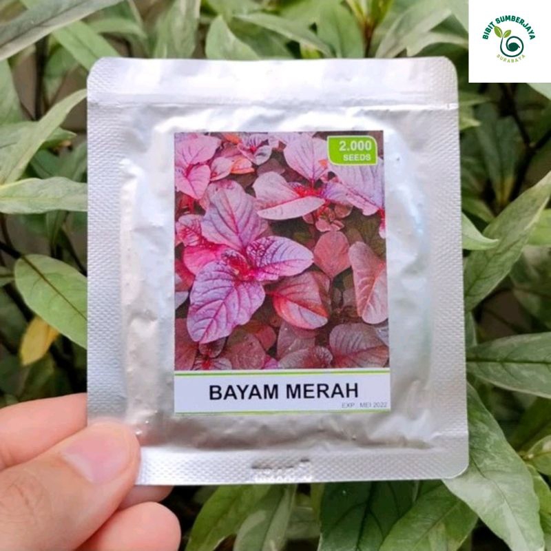 Jual Benih Bayam Merah | Shopee Indonesia