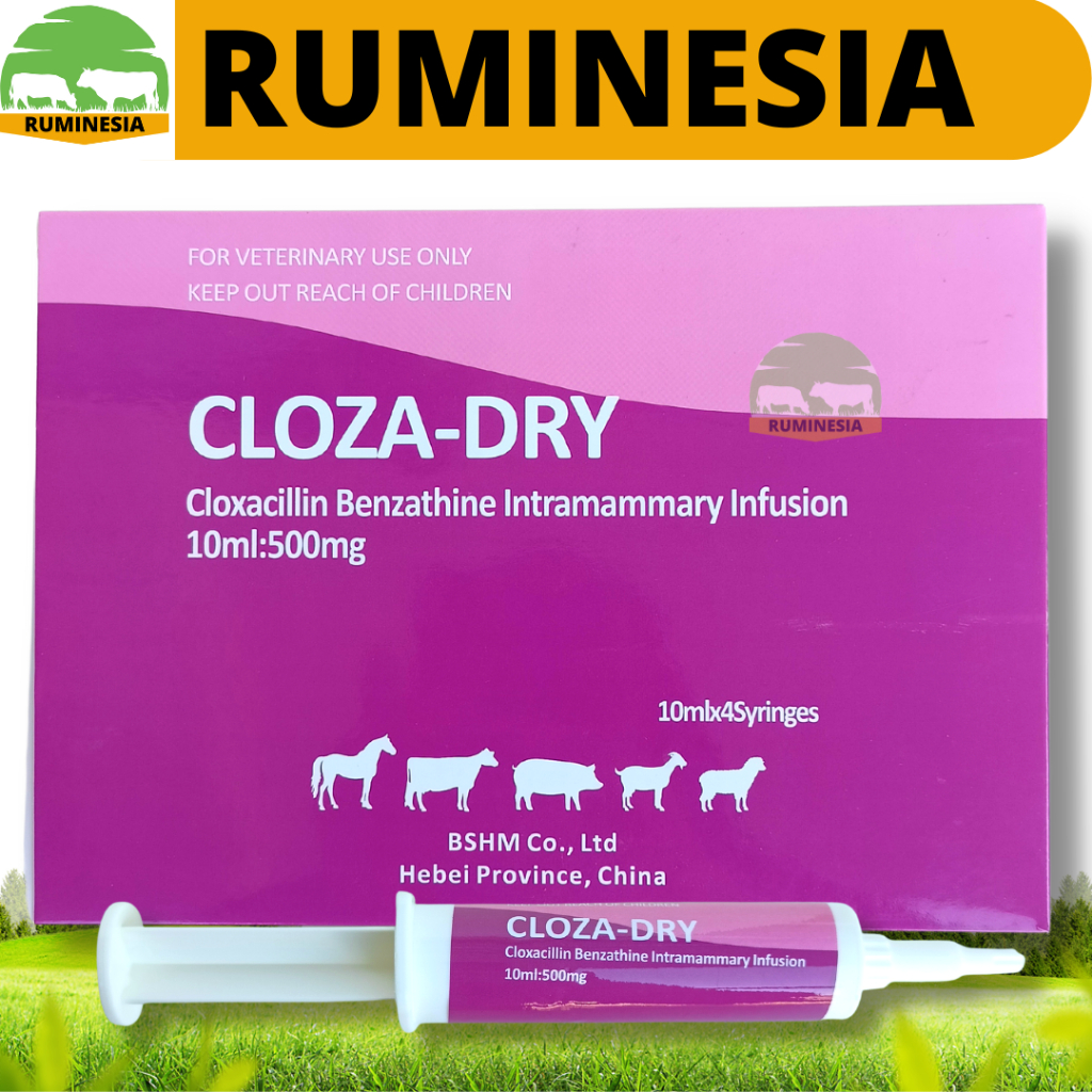 Jual CLOZA DRY 1 SYRINGE - Obat Anti Mastitis Ternak Sapi Kambing Domba ...