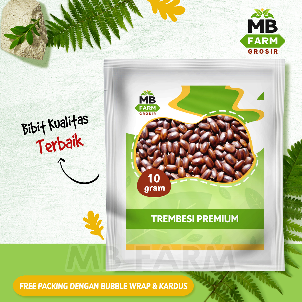 Jual Benih trembesi premium 10 gram / bibit pohon trembesi super MB ...