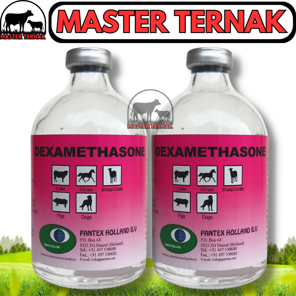 Jual PANTEX DEXAMETHASON 100 ML - Obat Anti Inflamasi Ternak Pantex ...