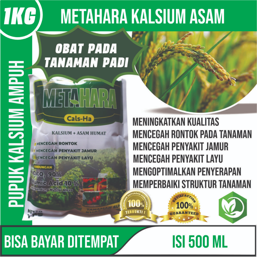 Jual METAHARA 1 Kg Pupuk Kalsium OBAT PADI KERDIL DAUN KUNING TERBAIK - Pupuk Padi Daun Kuning ...