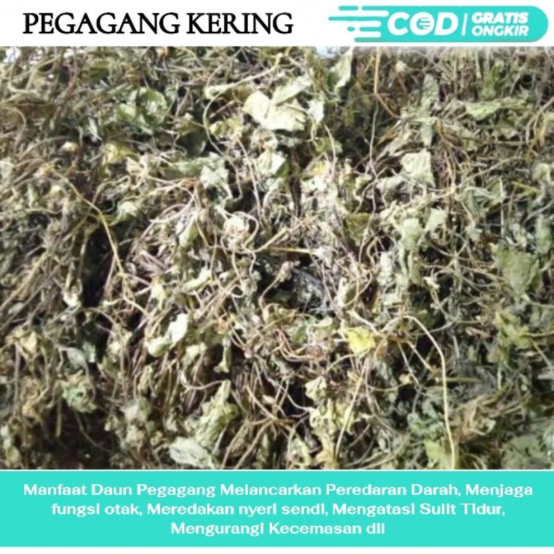 Jual Daun pegagang kering 1kg | Shopee Indonesia