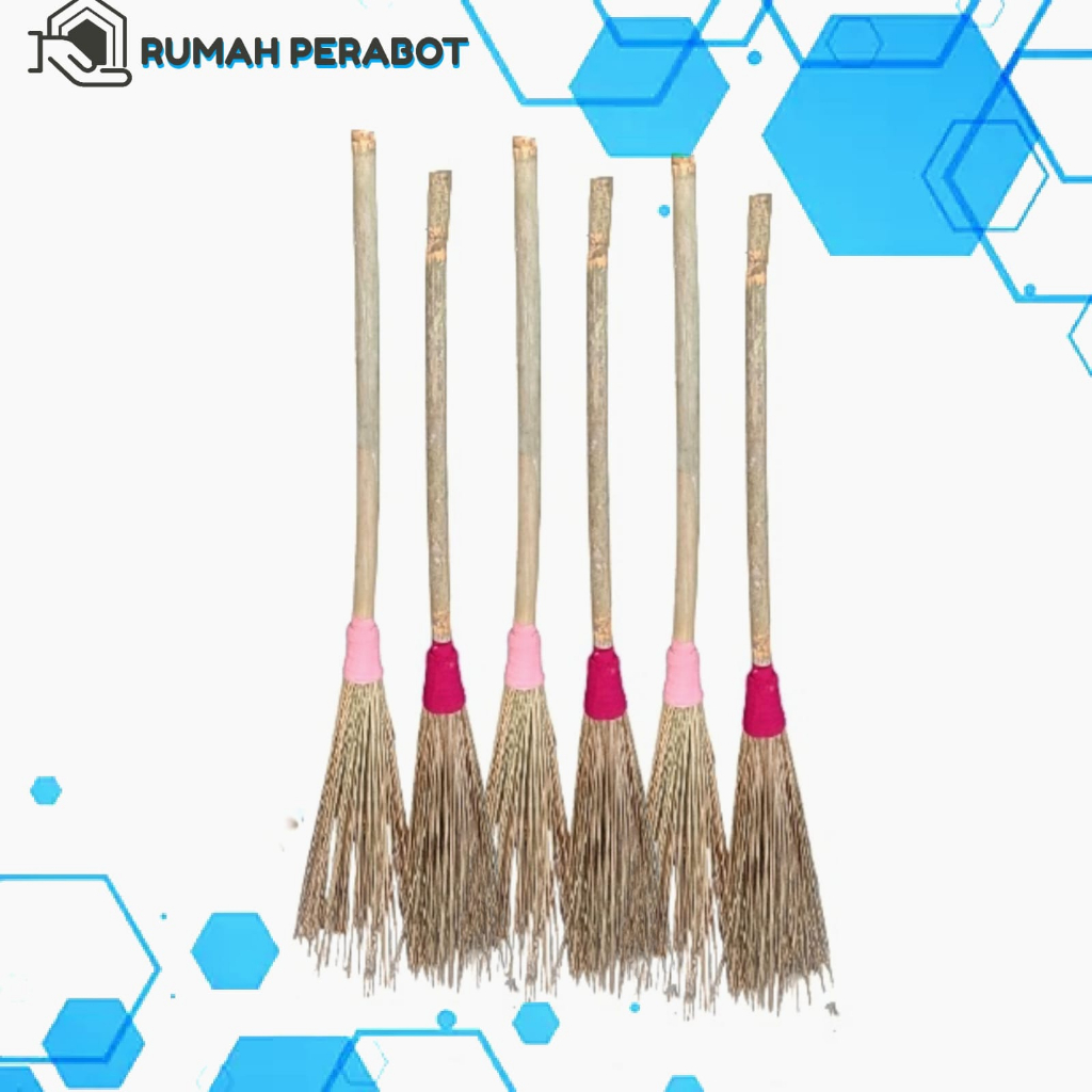 Jual Sapu Lidi Taman Gagang Bambu Panjang / Sapu Lidi Halaman Gagang ...
