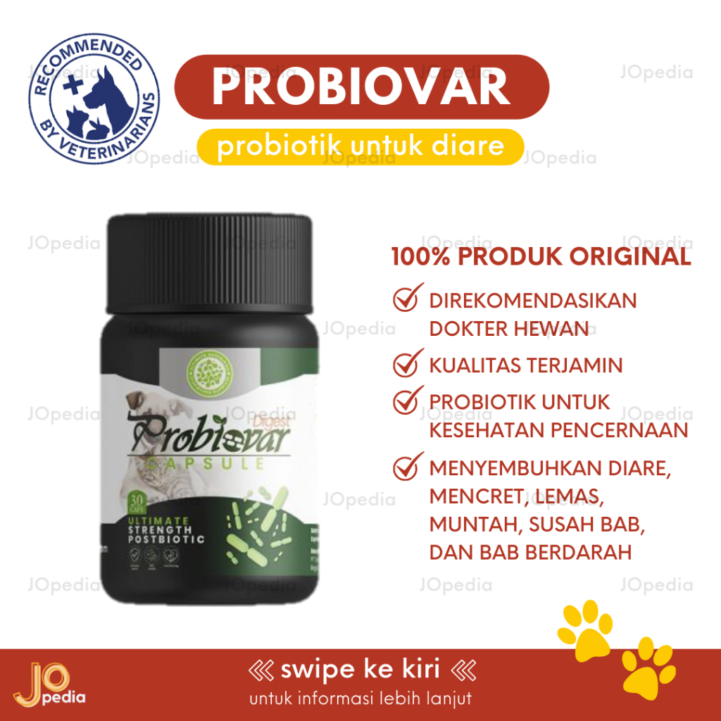 Jual PROBIOVAR Probiotik Obat Diare Mencret Muntah Kucing Anjing ...