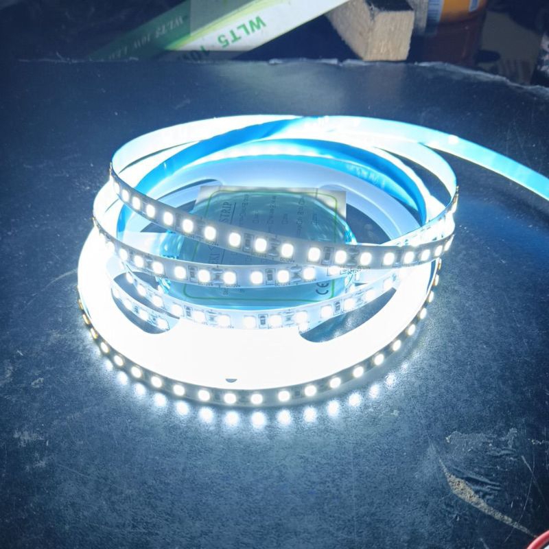 Jual HENSEKI lampu led strip mata rapat DC 12V warna cool white ...