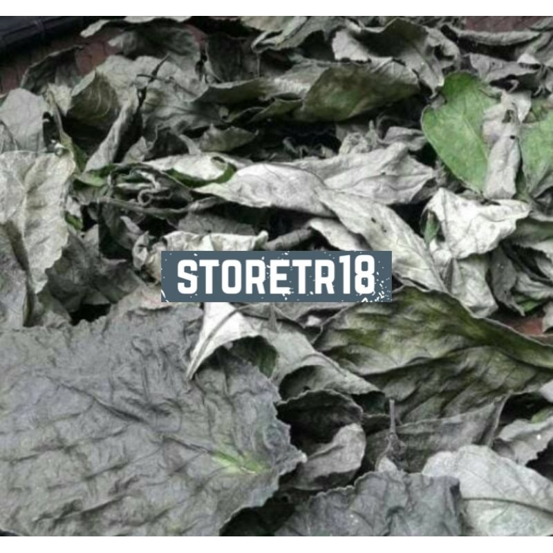 Jual Daun Keji Beling Kering Paket 250 Gram | Shopee Indonesia