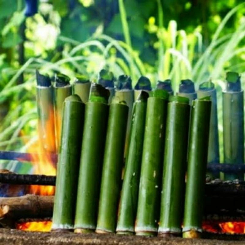 Jual paket hemat alat bambu lemang+daun congkok paket nasi lemeung ...