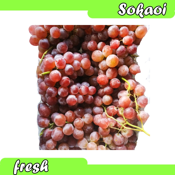 Jual BUAH ANGGUR MERAH RED GLOBE 500 | Shopee Indonesia
