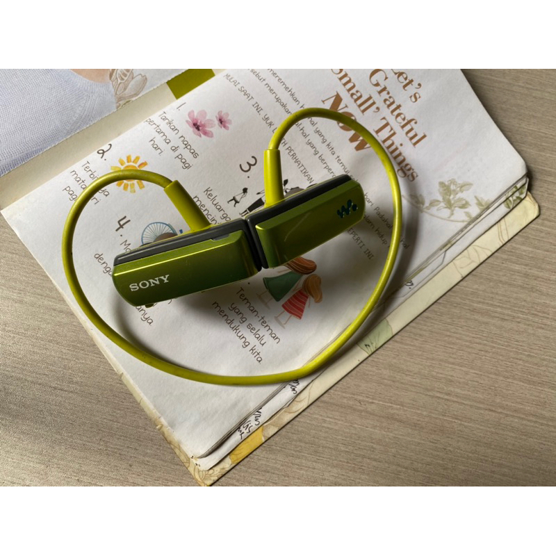 Jual Sony NWZ - W252 | Shopee Indonesia