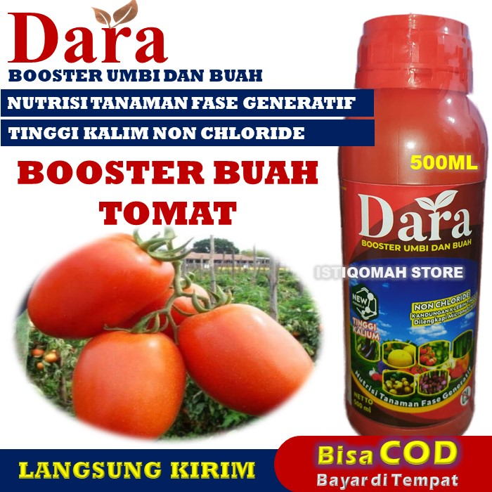 Jual Pupuk Booster Buah Tomat Manjur DARA 500ML Pupuk Pelebat dan Pembesar Buah Tanaman Sayuran ...