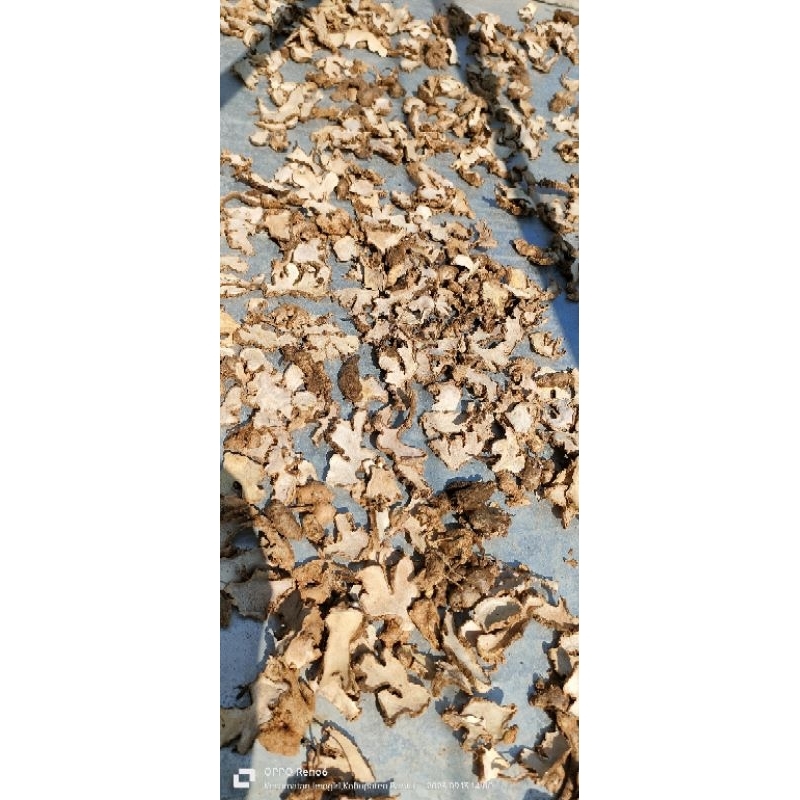 Jual BANGLE / BENGLE KERING 1 KG (HOME MADE) | Shopee Indonesia