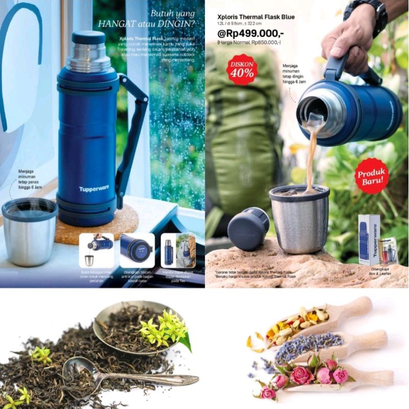 Jual Xploris Thermal Flask Blue Tupperware | Shopee Indonesia