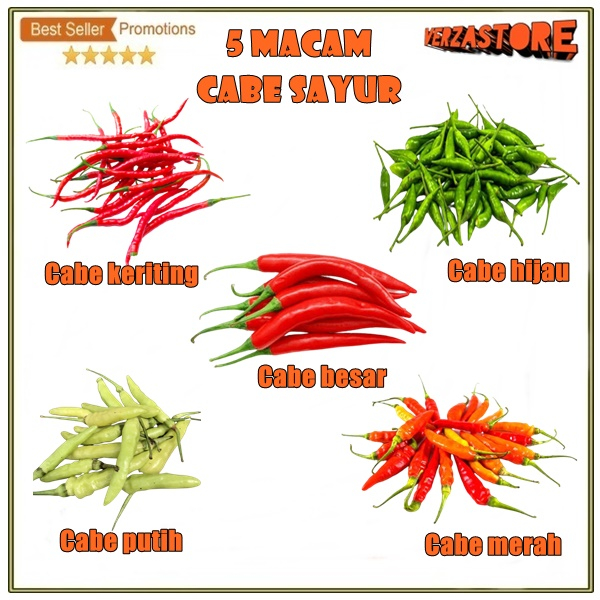Jual Benih Paket Hemat 5 Macam Cabe Cabai Rawit Merah Hijau Putih ...