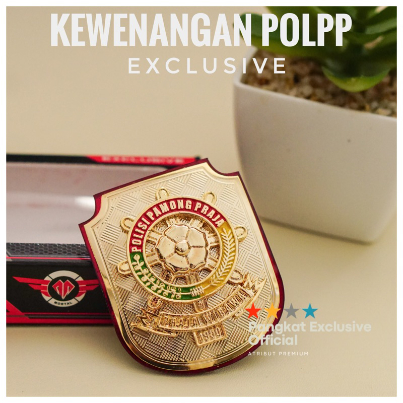 Jual PIN KEWENANGAN SATPOL PP - KEWENANGAN POLPP | Shopee Indonesia
