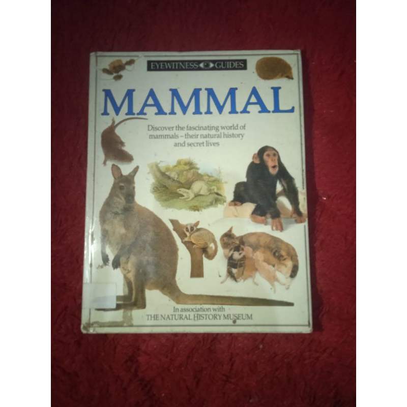 Jual ( preloved ) buku anak mamal original | Shopee Indonesia