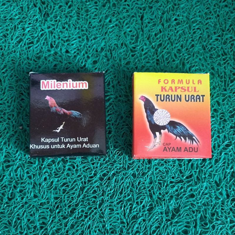 Jual KAPSUL TURUN URAT AYAM ADUAN (1DUS 4KAPSUL) | Shopee Indonesia