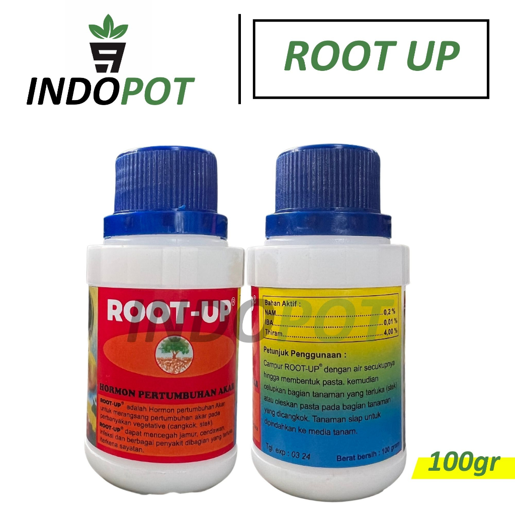 Jual ROOT UP 100 Gr - ZPT Hormon Serbuk Percepat Pertumbuhan Akar ...