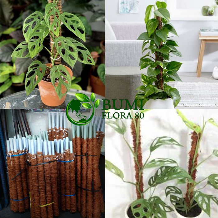 Jual Turus Penyangga Tanaman - Turus Pipa dan Sabut Kelapa - Turus ...