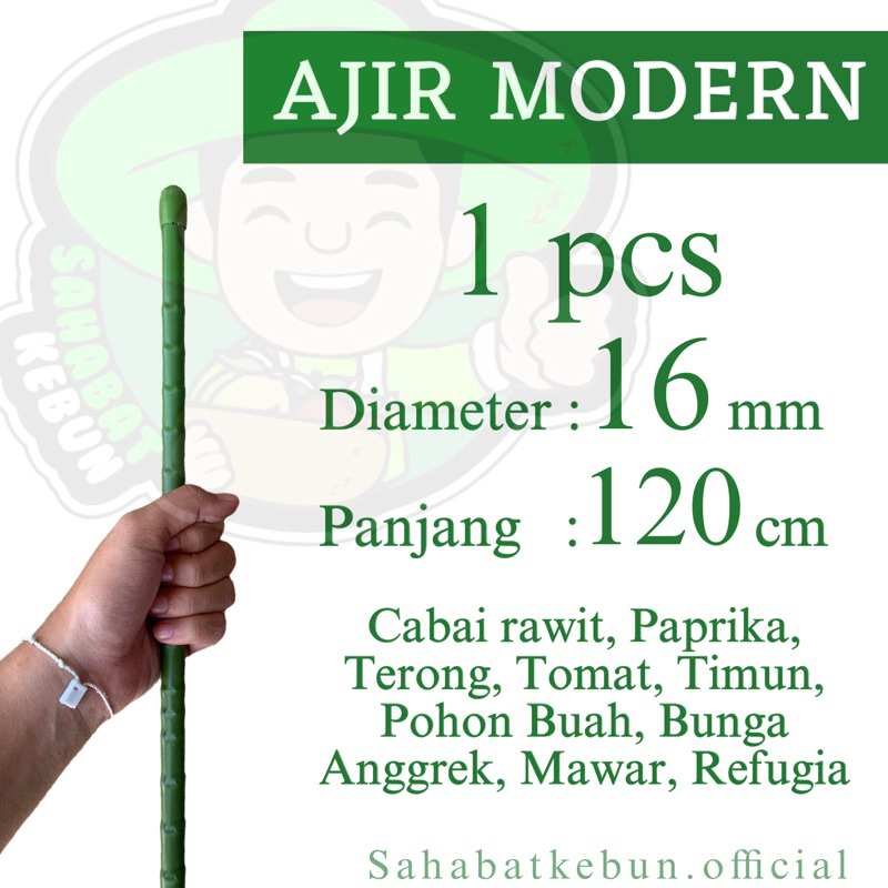 Jual AJIR MODERN 16 X 120 cm 1 PCS TURUS LANJARAN RAMBATAN TANAMAN POT ...