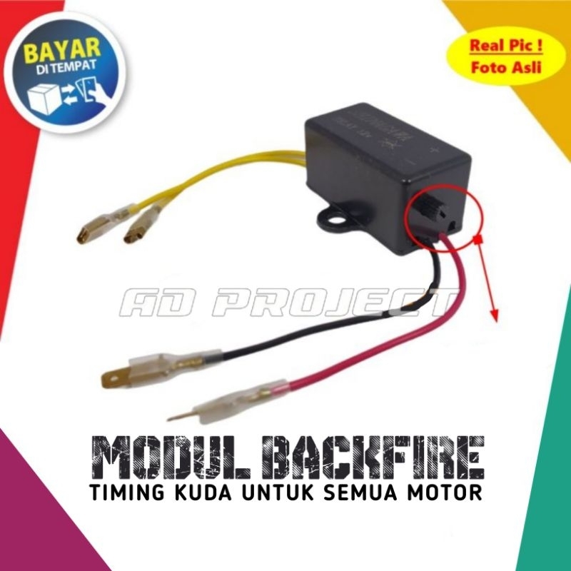 Jual MODUL BACKFIRE MODUL TIMING KUDA RUMBLE IDLE UNTUK SEMUA MOTOR | Shopee Indonesia