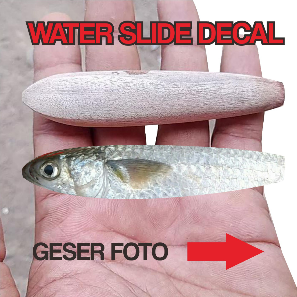 Jual WATER SLIDE DECAL STICKBAIT MINNOW POPPER | Shopee Indonesia