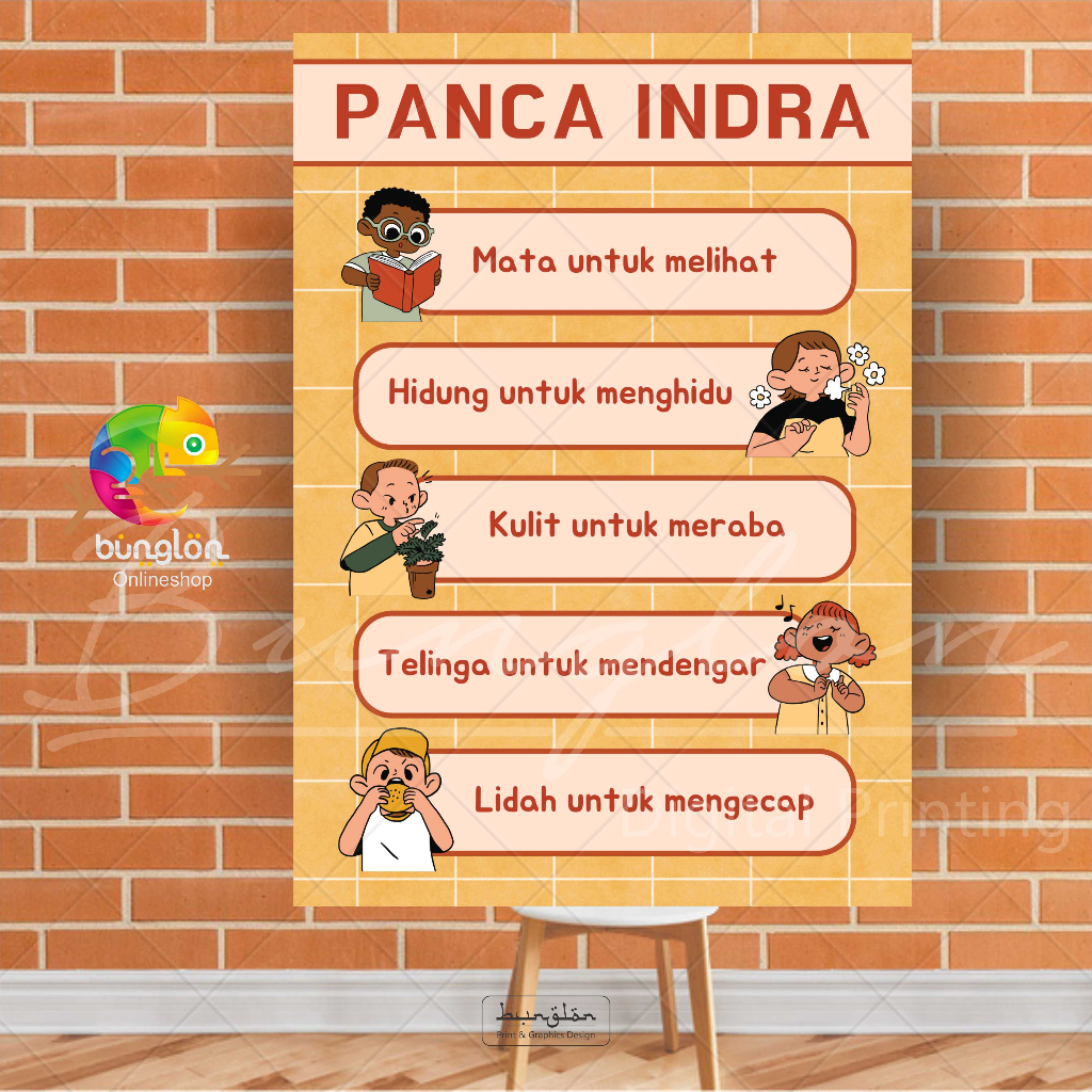 Jual Poster Edukasi Panca Indra | Shopee Indonesia