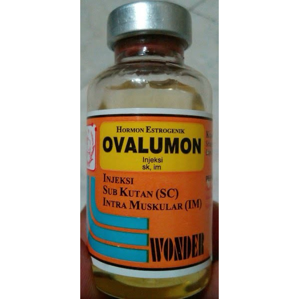 Jual ovalumon wonder hormon sapi kambing betina birahi | Shopee Indonesia