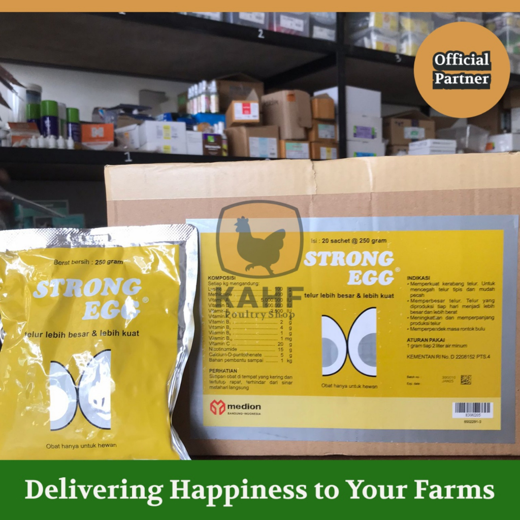 Jual Strong Egg 250 gram 1 Dus 5 kg isi 20 pcs Vitamin Peningkat Berat ...
