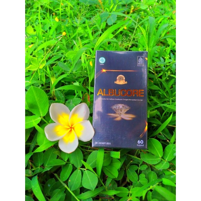 Jual Albucore Asli 100%,obat tipes,obat asam urat,obat asam lambung ...