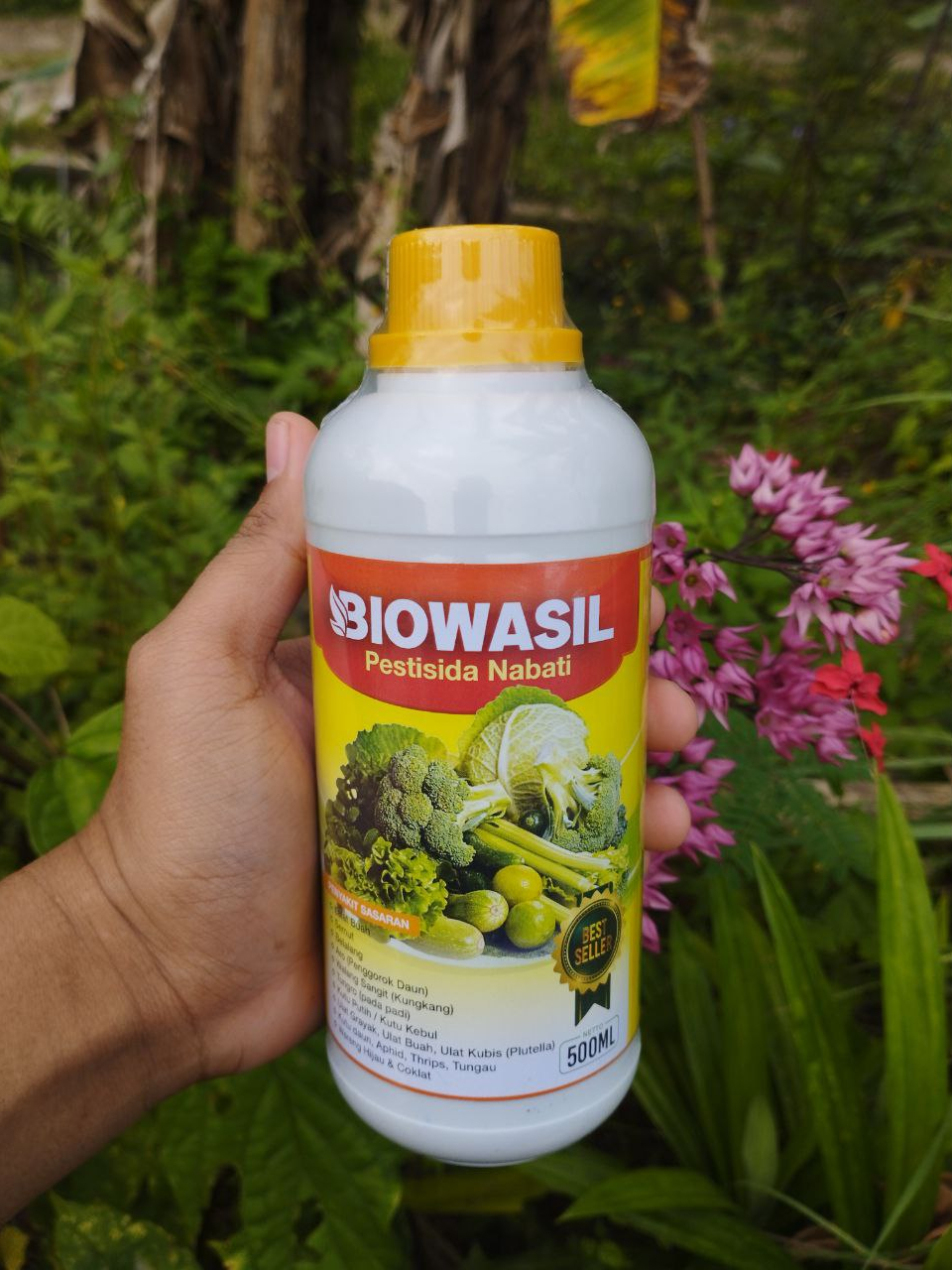 Jual BIOWASIL 500 ML Pestisida Semprot Pengendali Hama Kutu Putih ...
