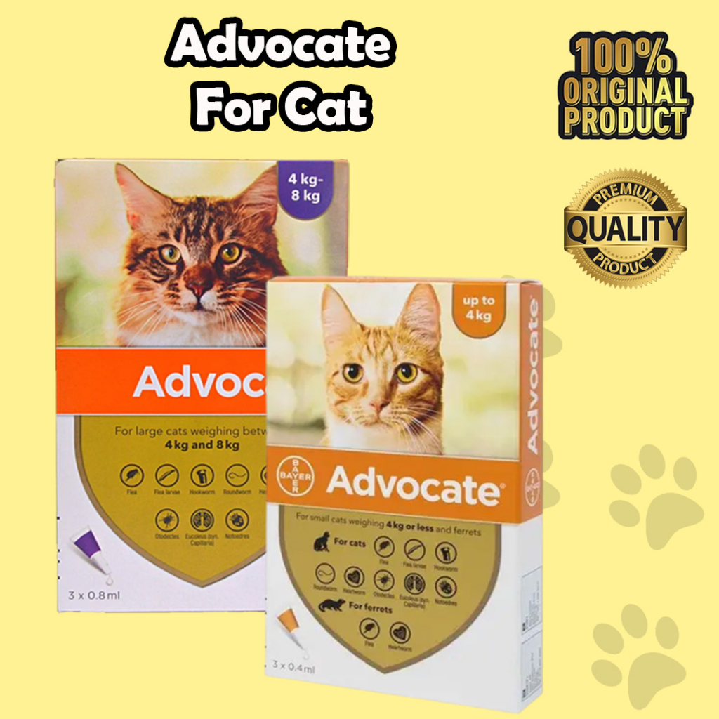 Jual Advocate Adult Kitten Obat tetes kutu tungau scabies kucing ...