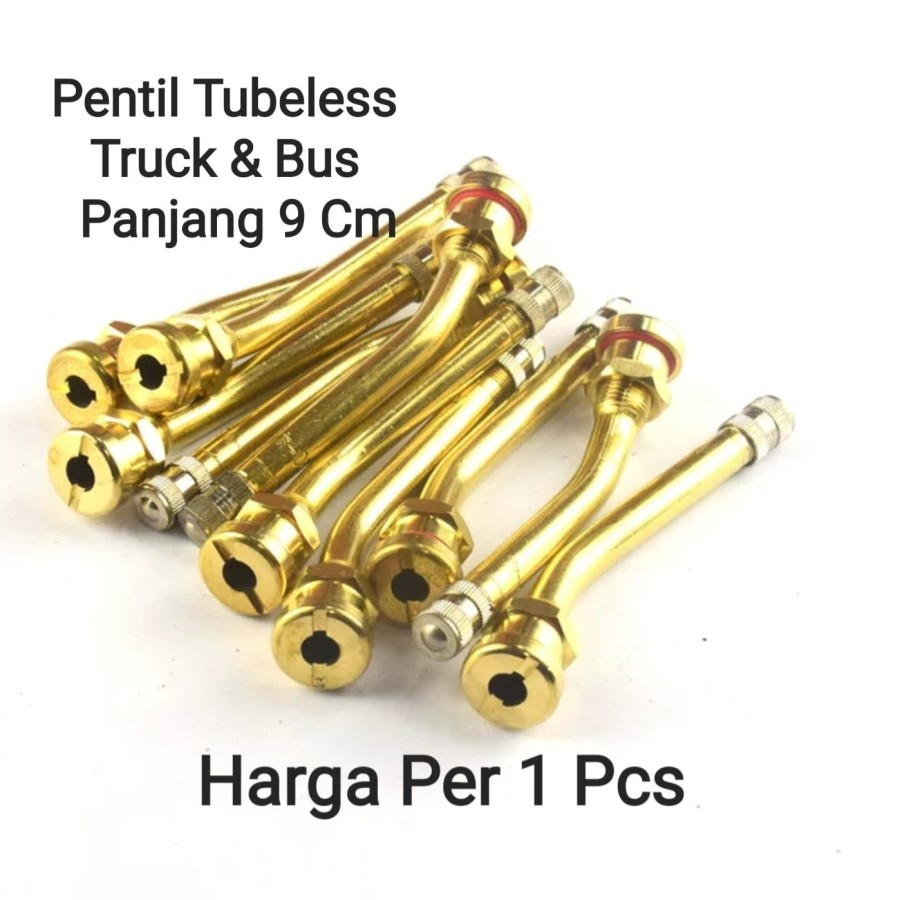 Jual Pentil Tubeless Mobil Truck Bus Pentil Tubeles Bis Truk 1pcs ...