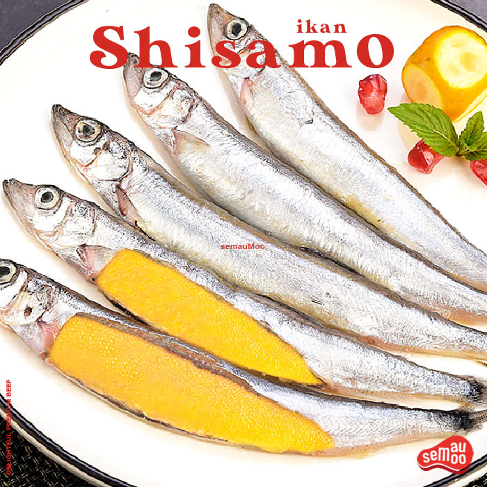 Jual Ikan Shisamo Capelin Fish Full Telur Import | Shopee Indonesia