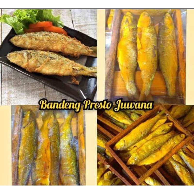 Jual Bandeng yuwana presto duri lunak kemasan vakum | Shopee Indonesia