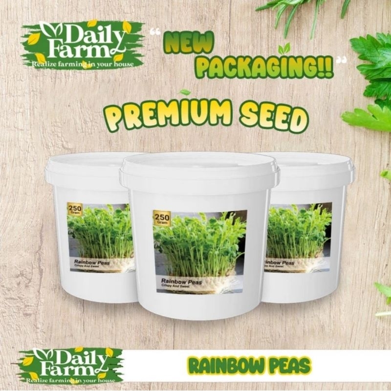 Jual Benih Sayur Microgreen - Microgreens Rainbow Peas ( 250 Grm ...