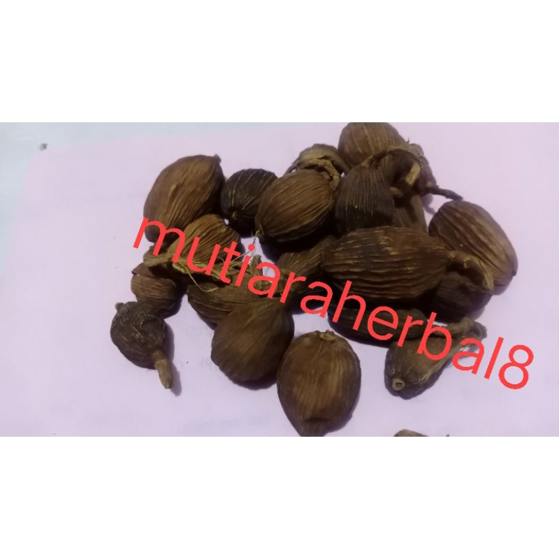 Jual 1kg cao Guo black cardamom kapulaga hitam tsaoko amomum fruit ...